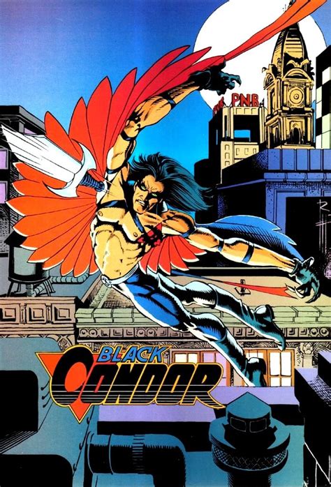 Black Condor Dc Continuity Project