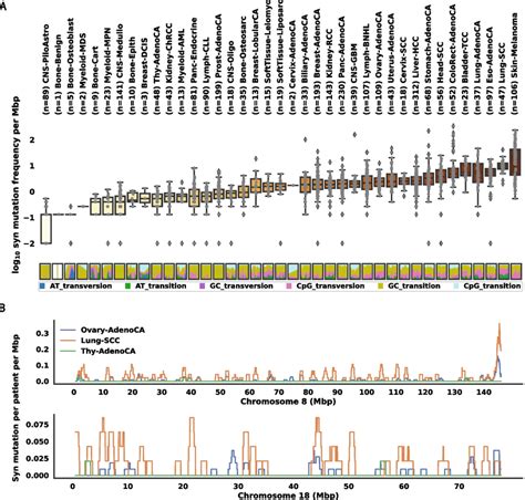 The Synonymous Mutation Rate In Cancer Varies Across Patients Download Scientific Diagram