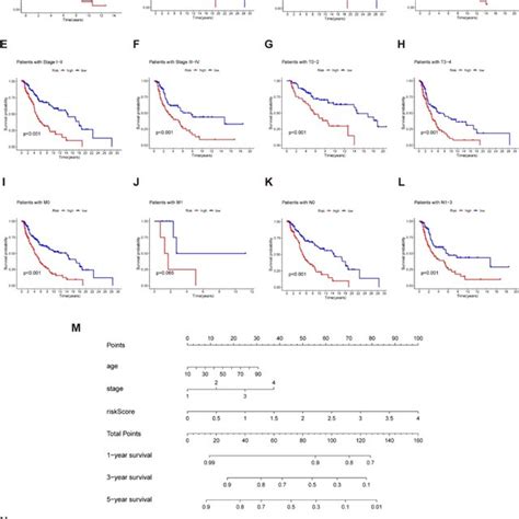 Subgroups Analysis Of Clinical Features In The Predictive Model And Download Scientific Diagram