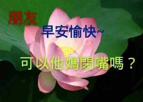 黑特壽山 黑特壽山839 耖你媽不要轉彎就不要轉彎 3年級在模考你在唱那啥小 叫那麼大聲是在生小孩嗎學妹