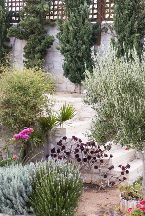 Mediterrane Gartengestaltung Und Pflanzen 75 Ideen