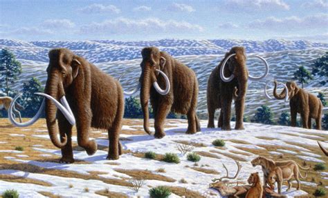 Paleolithic People Hunting
