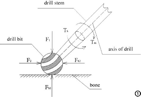 Shows The Forces Acting On The Drill Bit During Drilling Operation The Download Scientific