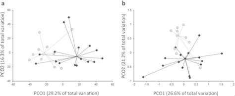 Heterogeneity Of Macrophyte Communities A And Environmental