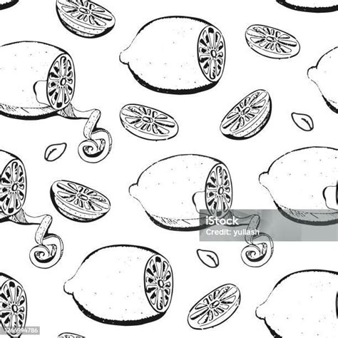 레몬 매끄러운 패턴 손으로 그린 빈티지 배경 흰색 배경에 껍질과 슬라이스감귤류 과일 메뉴 벽지 포장 부엌 디자인 커튼 냅킨 섬유 제조 감귤류 과일에 대한 스톡 벡터 아트 및