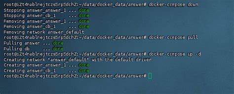 Encountered 50x Error While Upgrading The Answer Apache Answer Meta