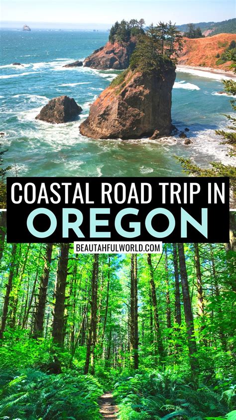 The Ultimate Oregon Coast Road Trip Itinerary Artofit