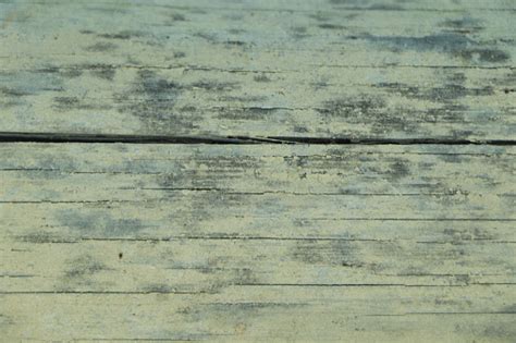 흰색 옅은 색 배경에 있는 자작나무 질감의 테이블 상단 보기 회색 깨끗한 곡물 거친 오크 나무 바닥 자작 나무 대리석 벽과