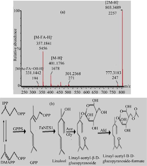 negative mode lc qtof ms ms putatively identified linalool derivatives