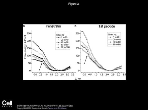 Alternative Mechanisms For The Interaction Of The Cell Penetrating Peptides Penetratin And The