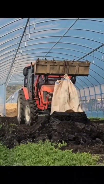 유기농머위재배 친환경농법은 땅살리기부터 유기농퇴비부터 충분히주고 머위재배밭 만들기 긴장마 태풍 혹서기 기후