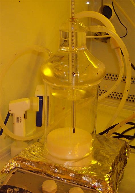 Micro Nano Fabrication Services At Ubc Vancouvers Anf