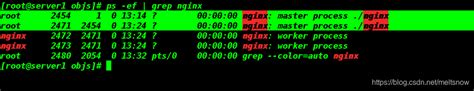 nginx热部署详解 nginx热加载 csdn博客
