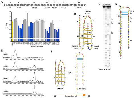 A Histogram Representation Of The Cd Melting Temperatures For The Download Scientific Diagram