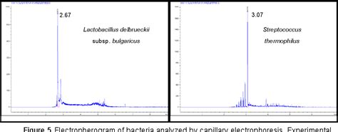 Figure 5 From Separation Of Lactobacillus Delbrueckii Subsp Bulgaricus And Streptococcus