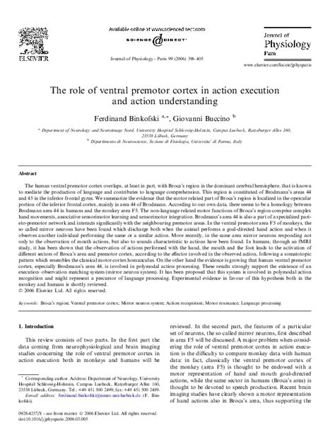 Pdf The Role Of Ventral Premotor Cortex In Action Execution And Action Understanding