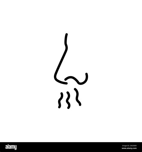 Breath Smell Nose Line Icon Odour Breath Smell Stroke Web Human Sneeze