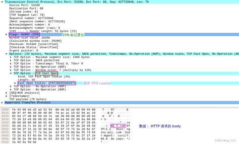 tcp ip 二十二 tcp 实战抓包分析 六 tcp 快速建立连接 tcp fast open tfo 技术 csdn博客