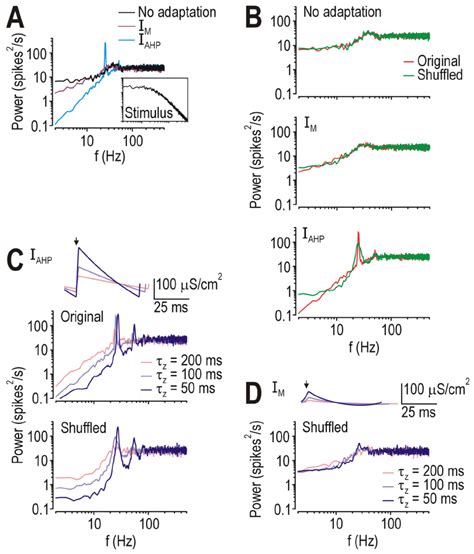 Effects Of Negative Isi Correlation And Refractoriness On Power Spectra Download Scientific
