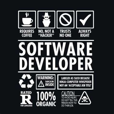 Funny Computer Software Devolper