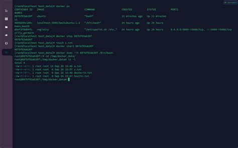 Docker实战教程(十一):容器数据卷 Cnhkzyy 博客园 Docker实战教程(十一):容器数据卷 Cnhkzyy 博客园