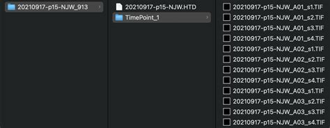 Viability Wrmxpress Gui