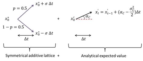 Symmetrical Binomial Lattice Download Scientific Diagram
