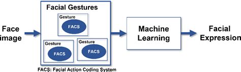 Figure 1 From Towards Facial Gesture Recognition In Photographs Of Patients With Facial Palsy