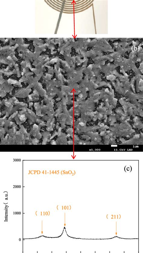 A Actual Picture B SEM C XRD Of The Sample Download Scientific Diagram