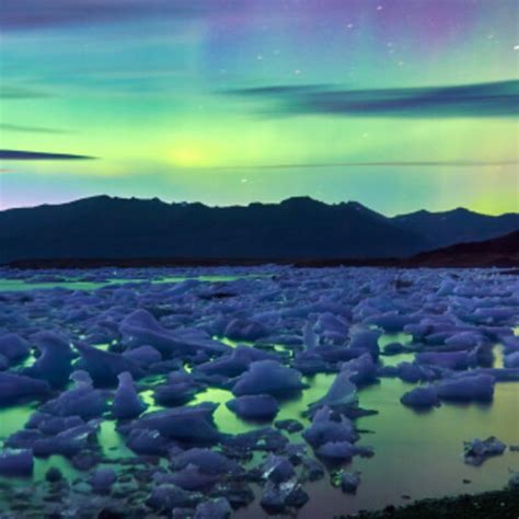 Odette Mccarthy Endeavour College Of Natural Health Sydney Library Research Profile