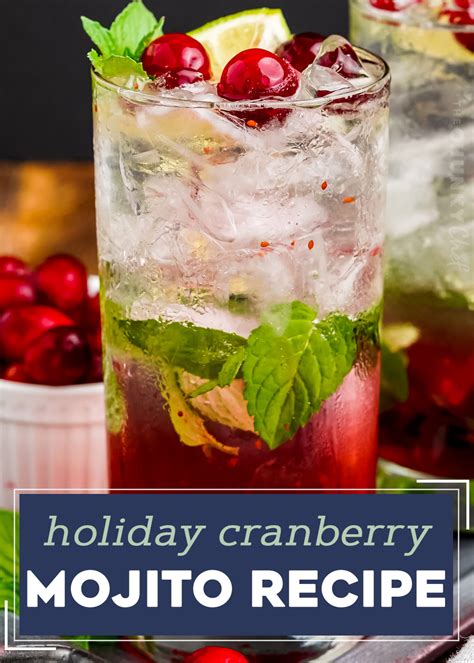 Holiday Cranberry Mojito Recipe The Chunky Chef