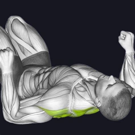 Push Up Reverse By Walfred Wally Exercise How To Skimble