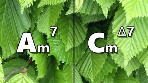 Am7 To Cm Maj7 Backing Track Youtube