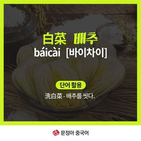 문정아중국어 배추 양배추 샐러리 브로콜리 토마토 파프리카 🥬🥦🍅🌿🌱🍎 중국어로 어떻게 Facebook