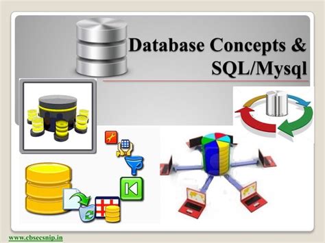 cbse xii database concepts and mysql presentation pdf databases