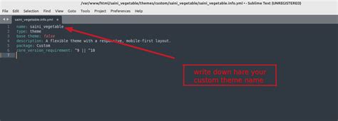 Create Custom Theme In Drupal 10 Pti Webtech