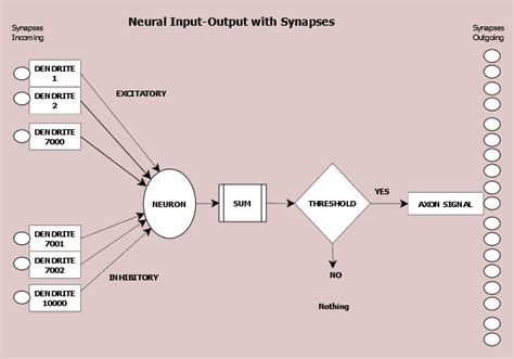 Synapse Weights Memory And Learning Mental Construction