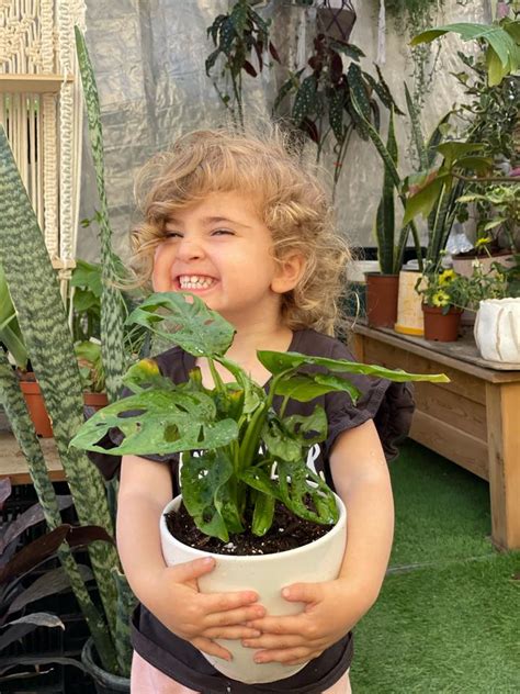 ‎nativity Seeds זרעי מורשת‎ Nativity Seeds זרעי מורשת