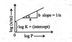 A Graph Is Plotted Between Log X M And Log P According To The Equation X M K P N