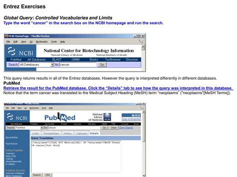 Ppt Ncbi Databases And Services Powerpoint Presentation Free Download Id4383888