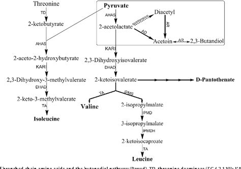 Figure 1 From Characterization Of Acetohydroxyacid Synthase From The Hyperthermophilic Bacterium