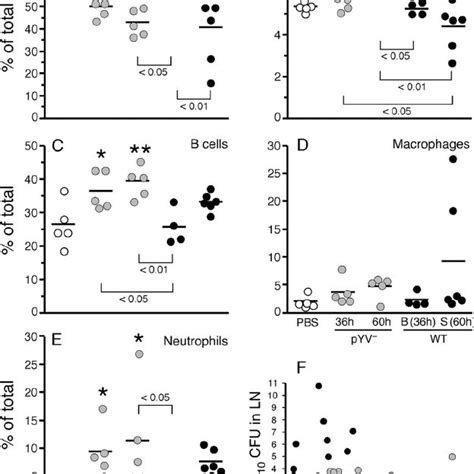 Progression Of Histopathology In The Draining Lymph Nodes Of Rats After Download Scientific