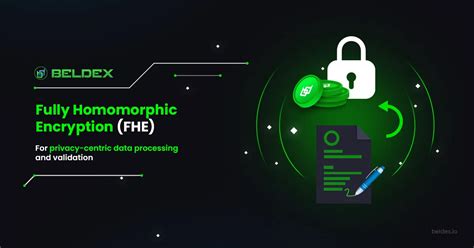 Unlocking The Future With Fully Homomorphic Encryption