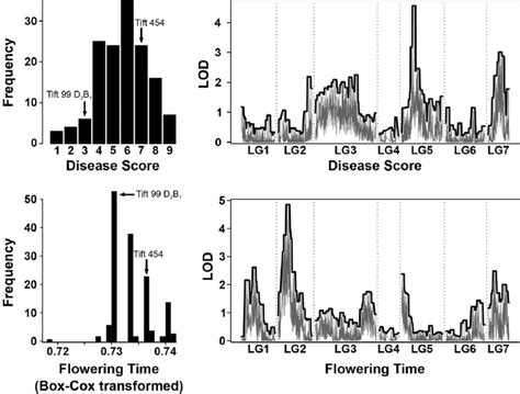 Quantitative Trait Locus Qtl Mapping In Pearl Millet Quantitative Download Scientific