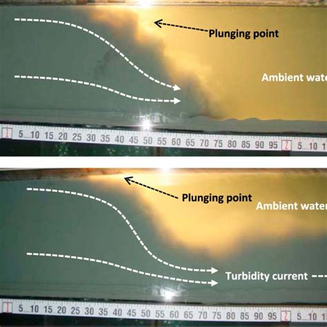 Pdf Internal Structure Of A Self Accelerating Turbidity Current