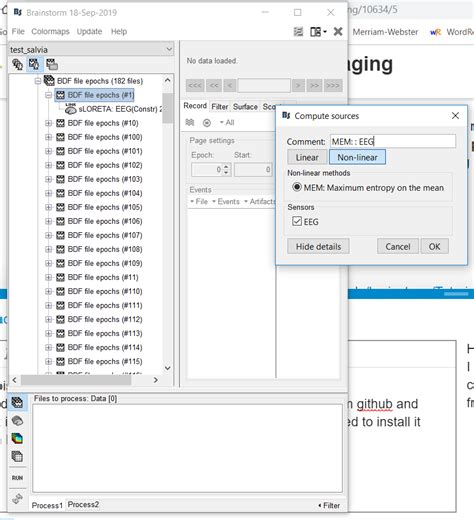 interface problems mem source imaging bugs brainstorm