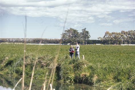 Catchment Condition Survey Reveals Insights And Opportunities For