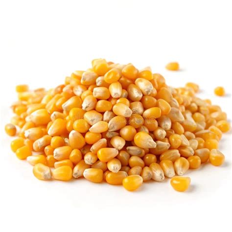 Pile Of Maize Kernels Stock Illustration Illustration Of Eating