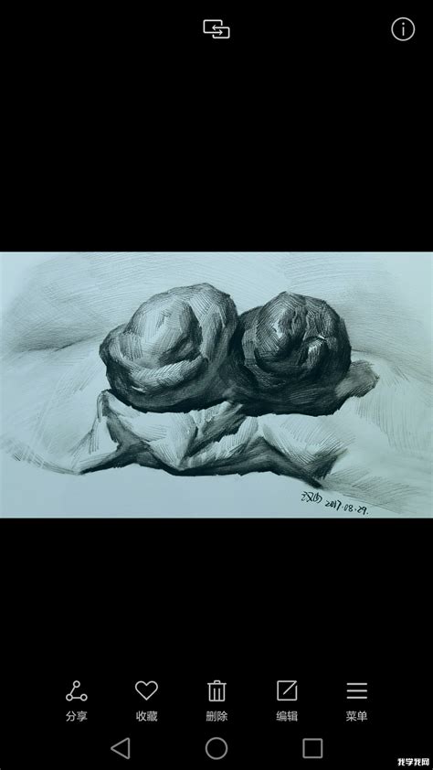 土豆素描组合 我学我网络艺术课堂